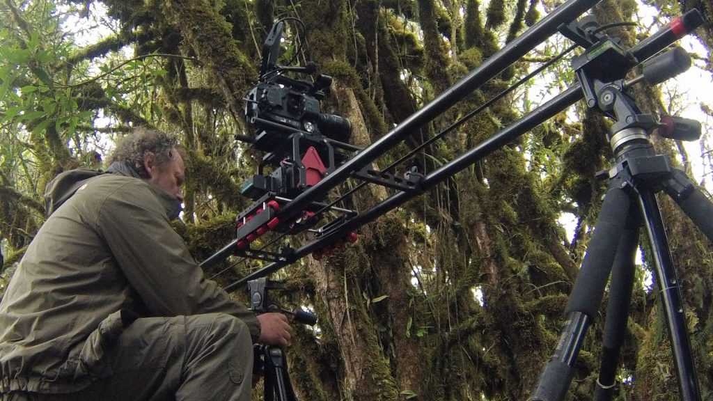 Photography & Filming - Ecologística Perú